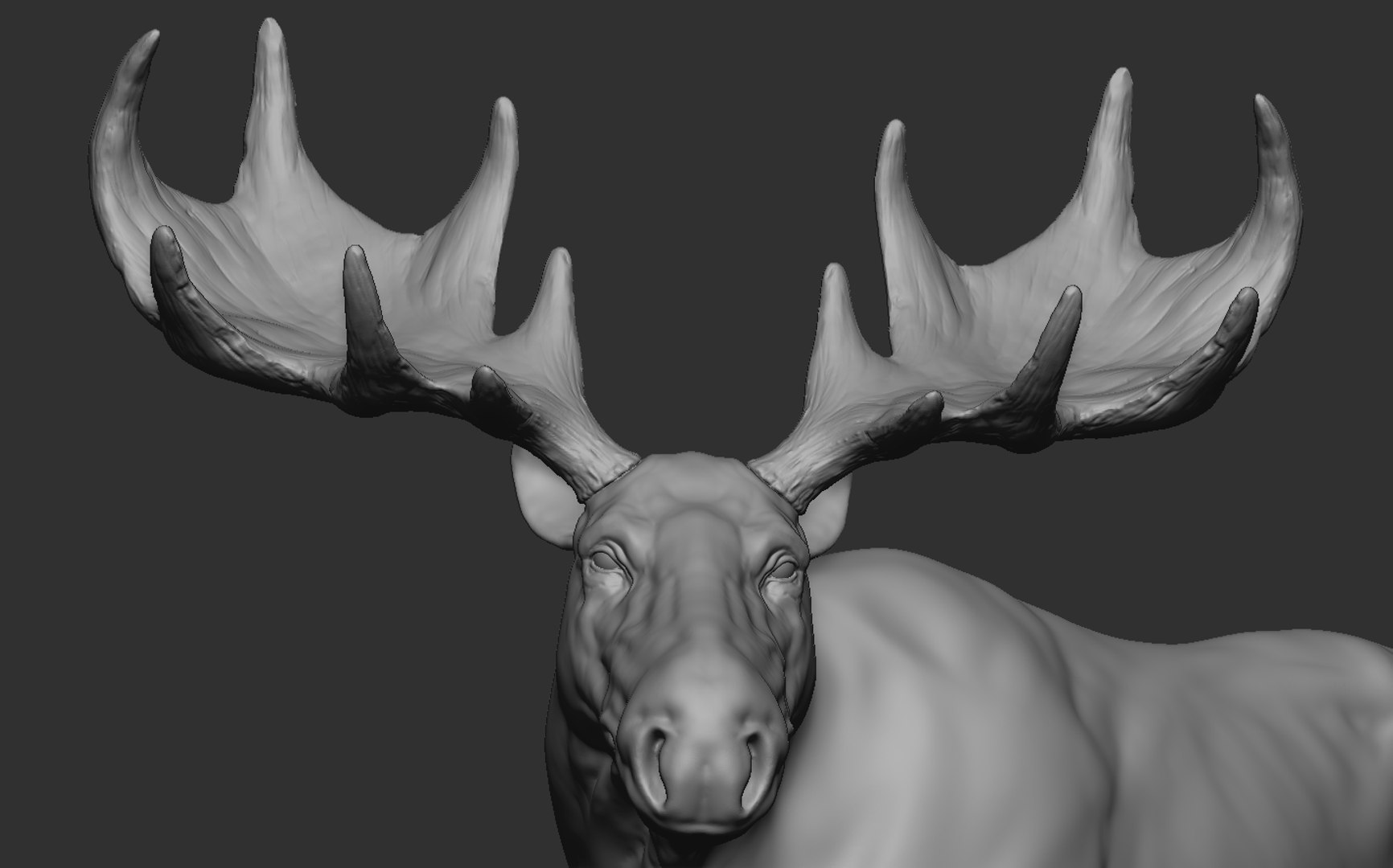 Moose 3D Model - TurboSquid 2119444