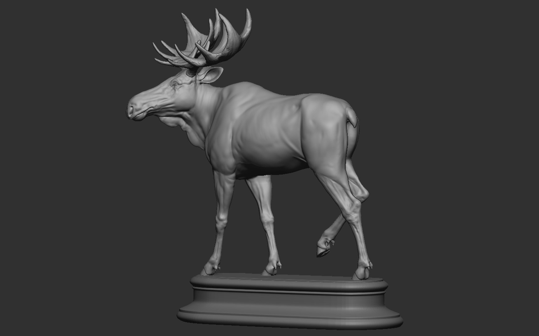 Moose 3D Model - TurboSquid 2119444