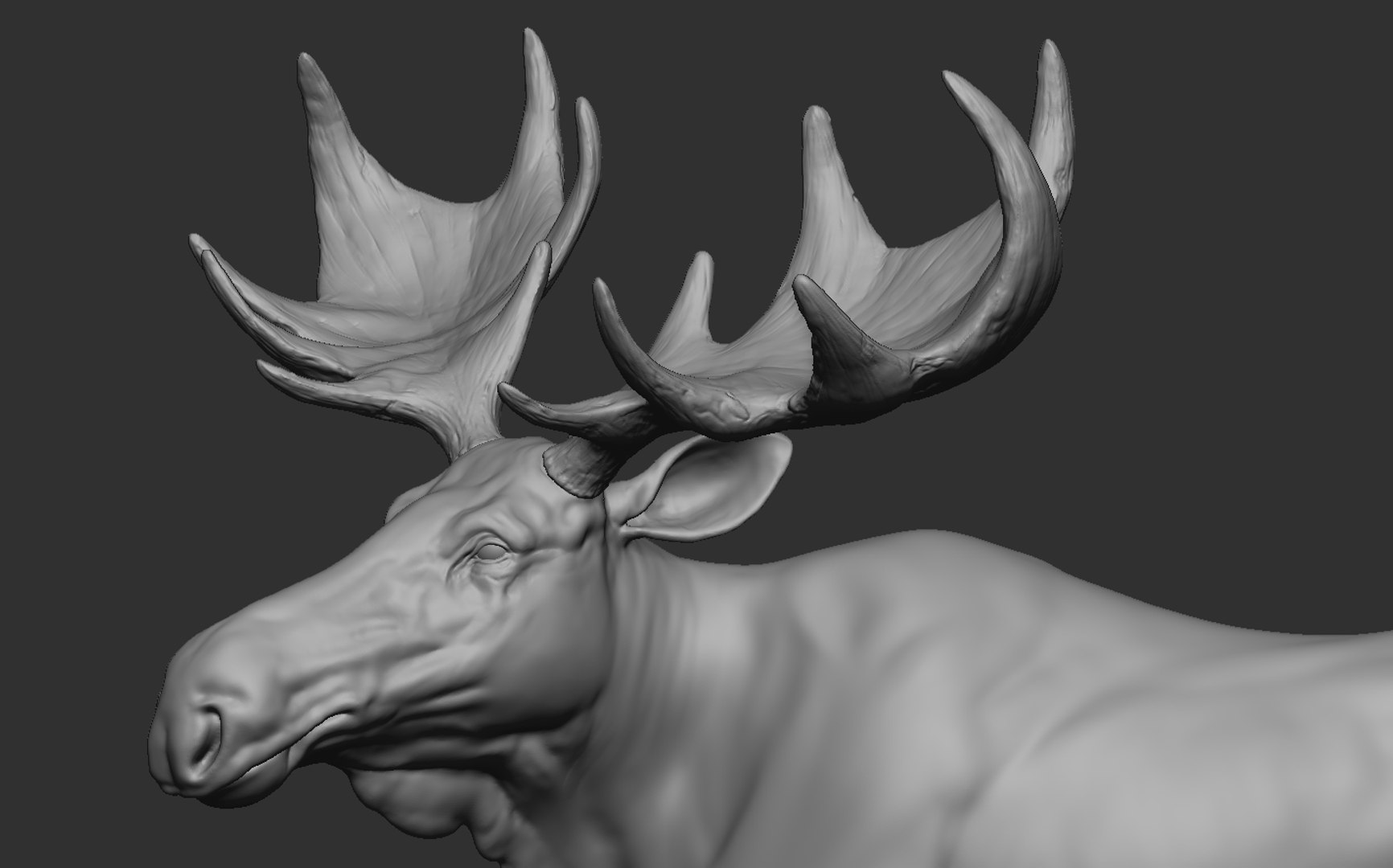 Moose 3D Model - TurboSquid 2119444