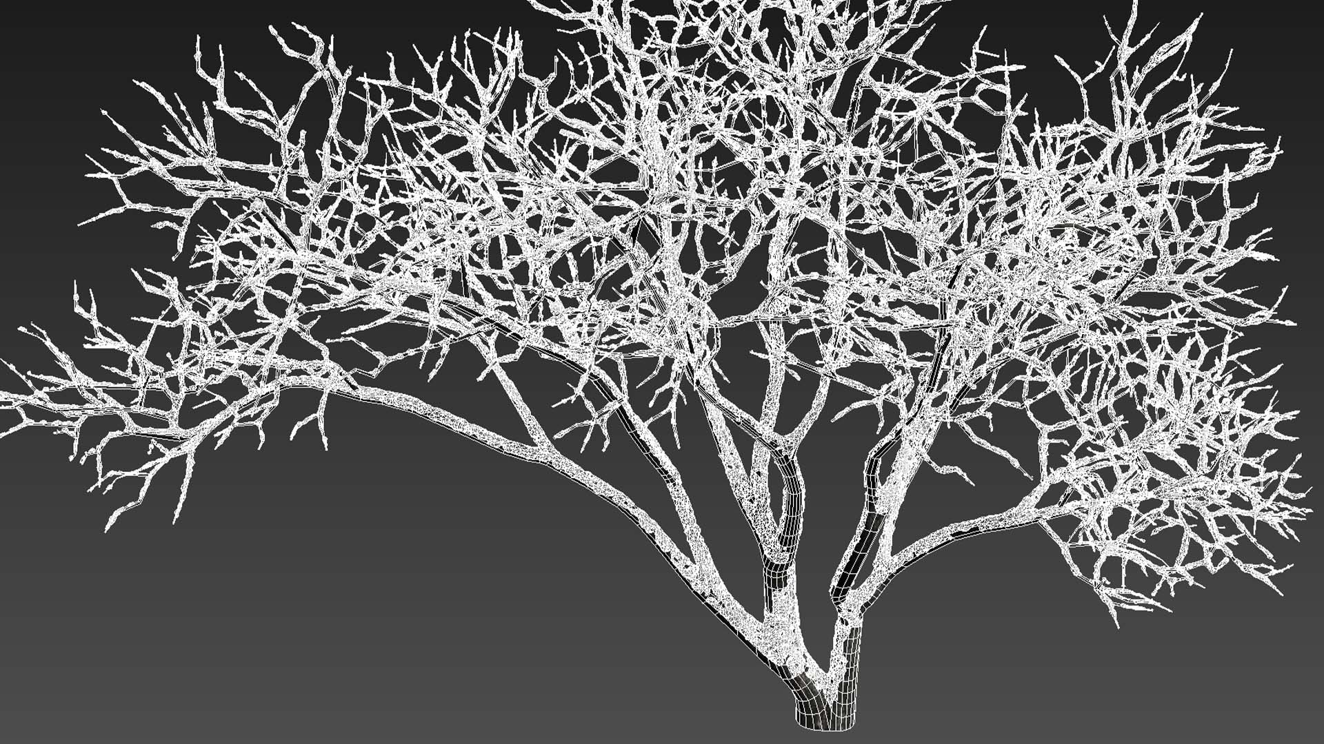 3D Winter Snowy Trees Street Elements Model - TurboSquid 2156157