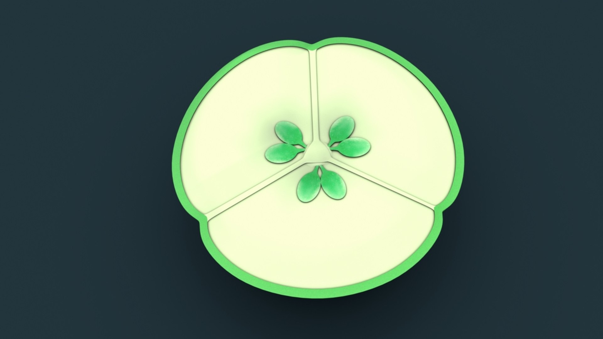 3D Trilocular Ovary - TurboSquid 1264420