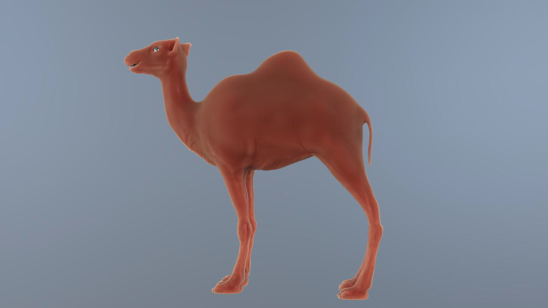 Sculpt camel 3D model - TurboSquid 1373418