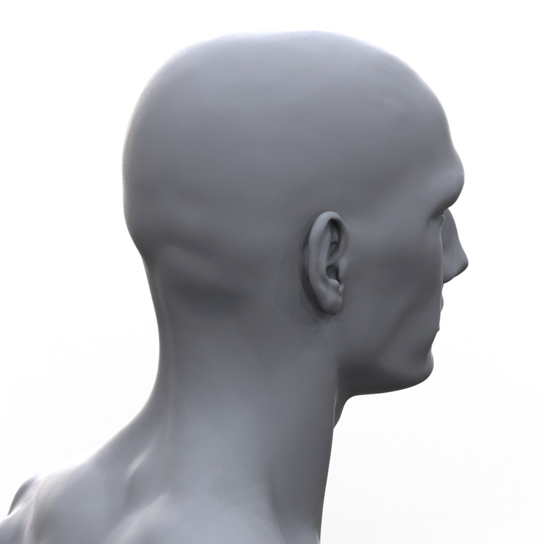 Zbrush Mans Head 3d Model
