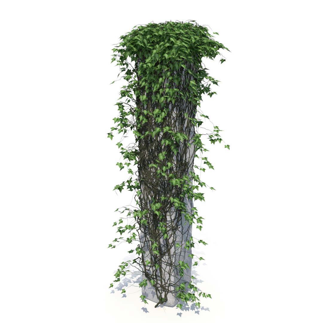 3D Ivy Column V1 - TurboSquid 1648026