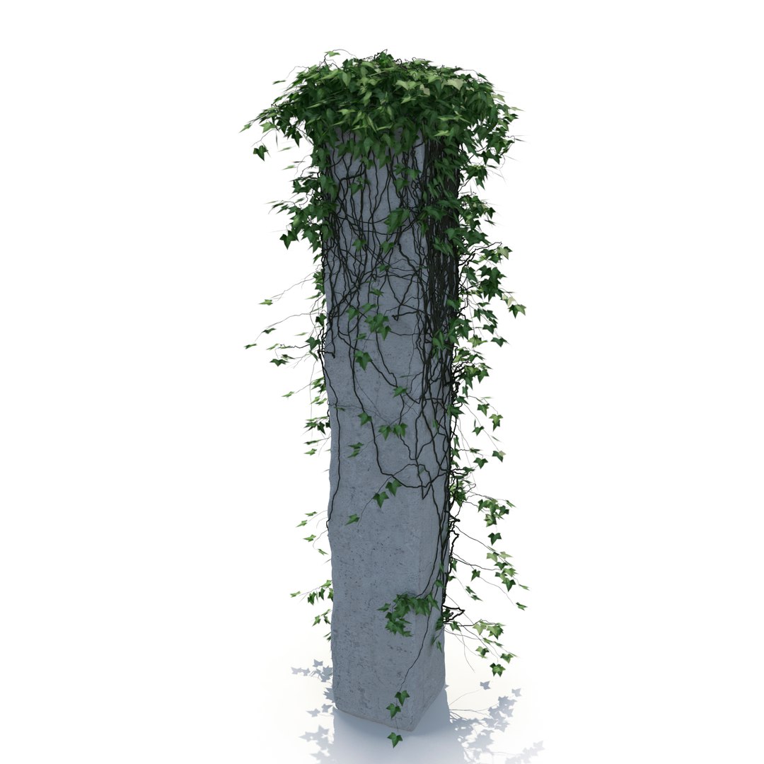 3D Ivy Column V1 - TurboSquid 1648026