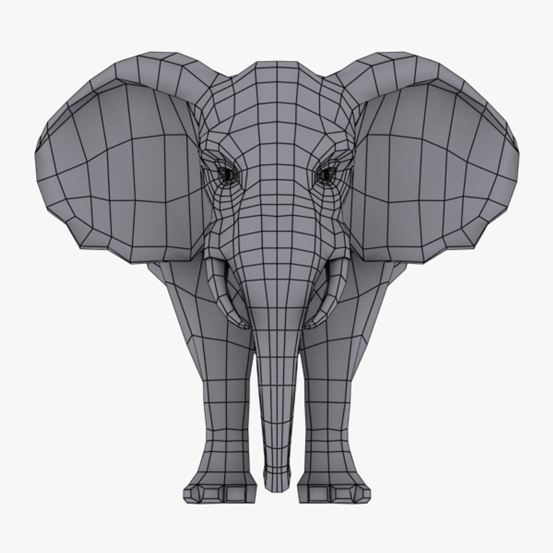 Max Elephant