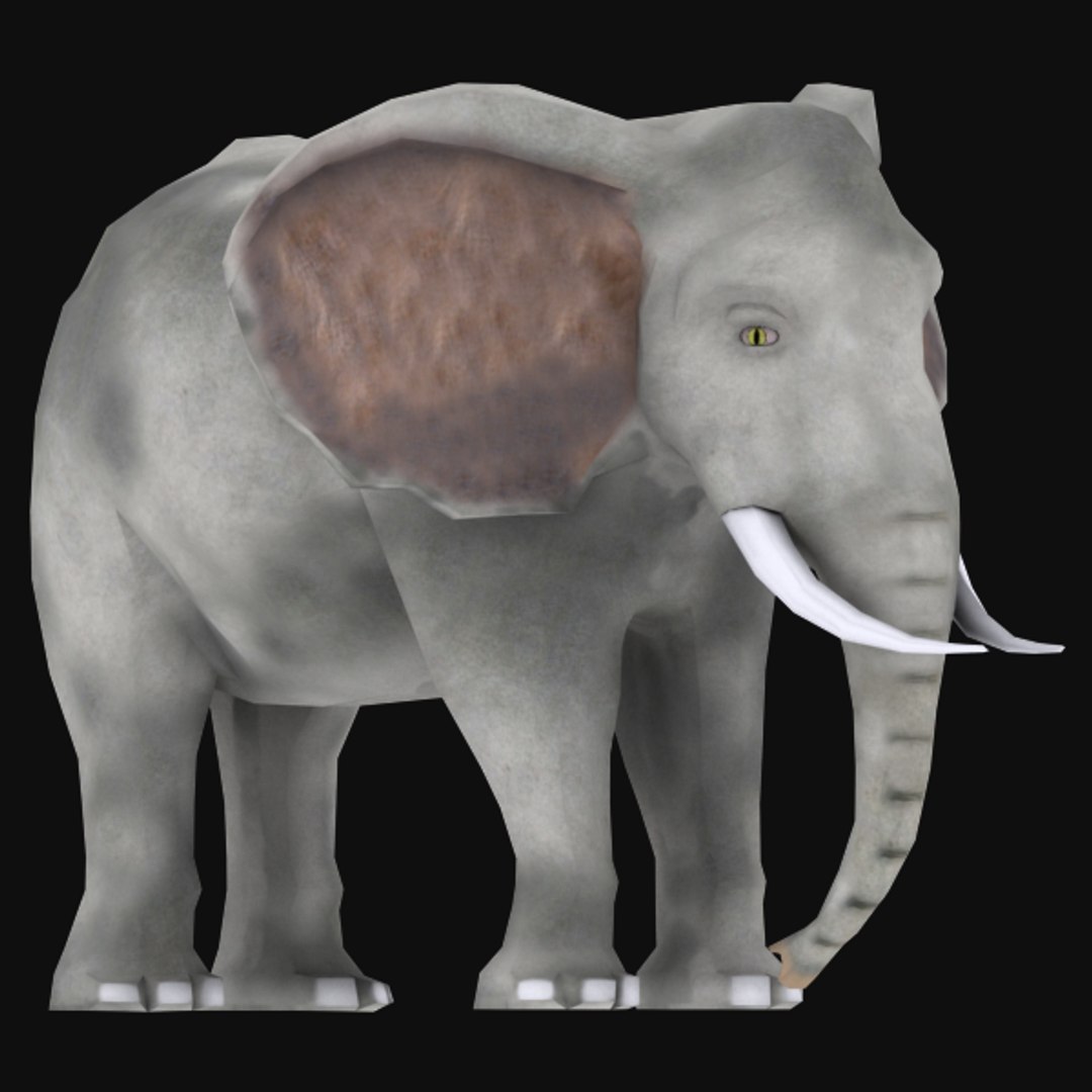 Max Elephant