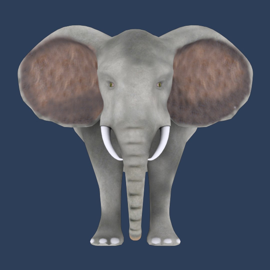 Max Elephant