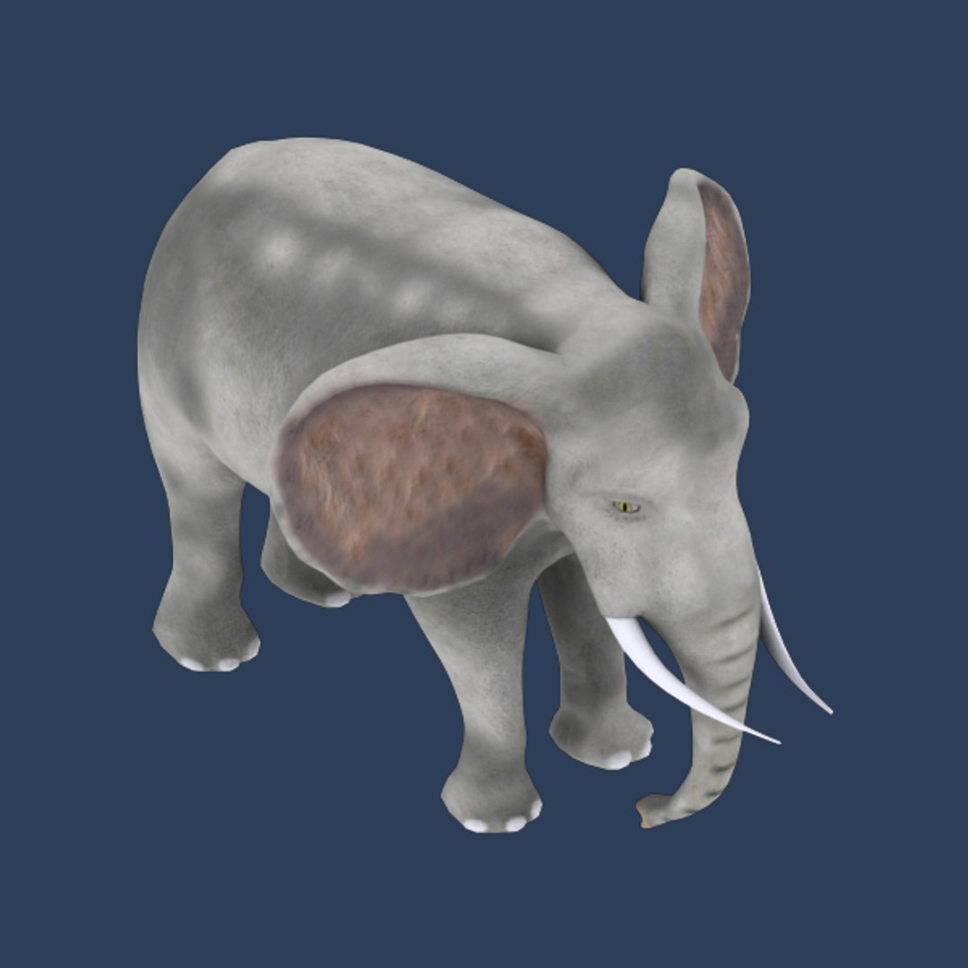 Max Elephant