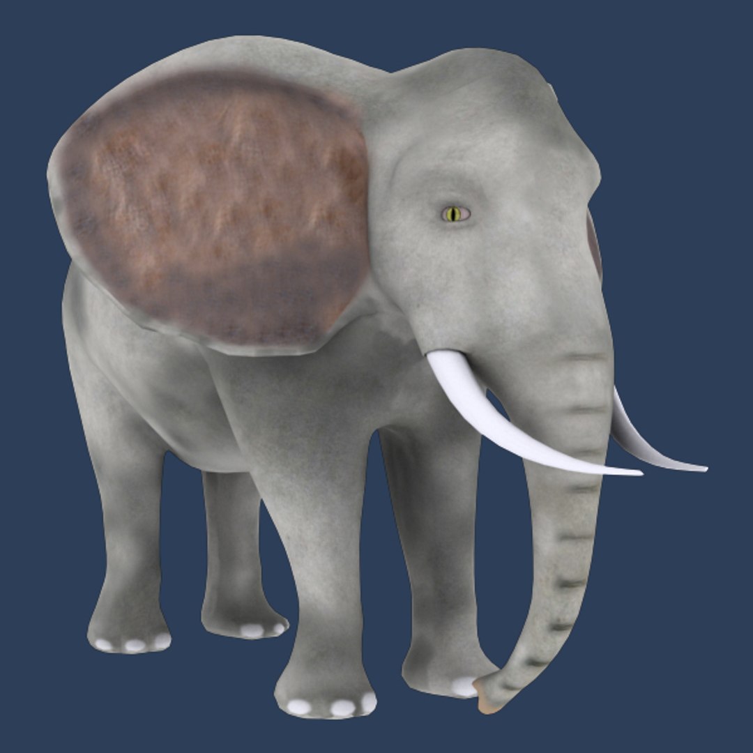 Max Elephant