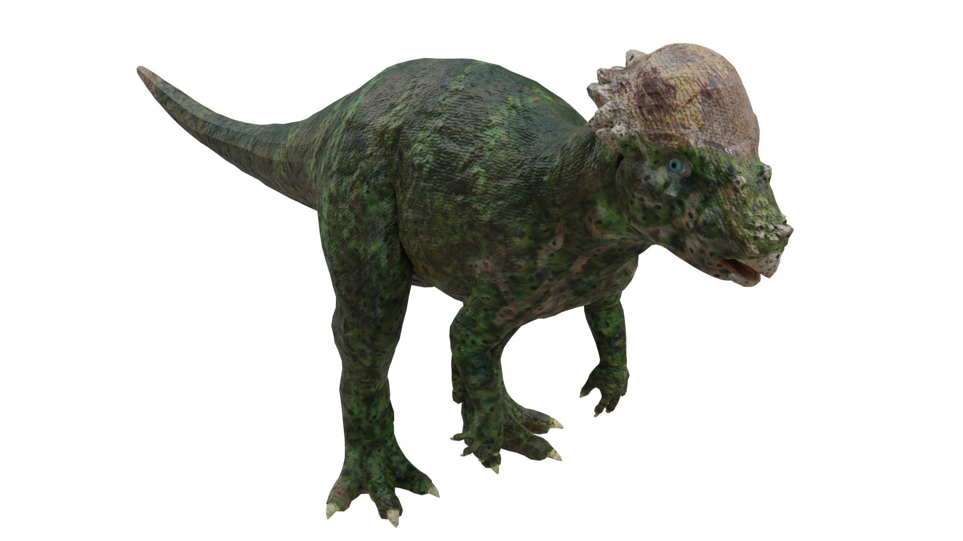 Pachycephalosaurus Model - TurboSquid 1986135