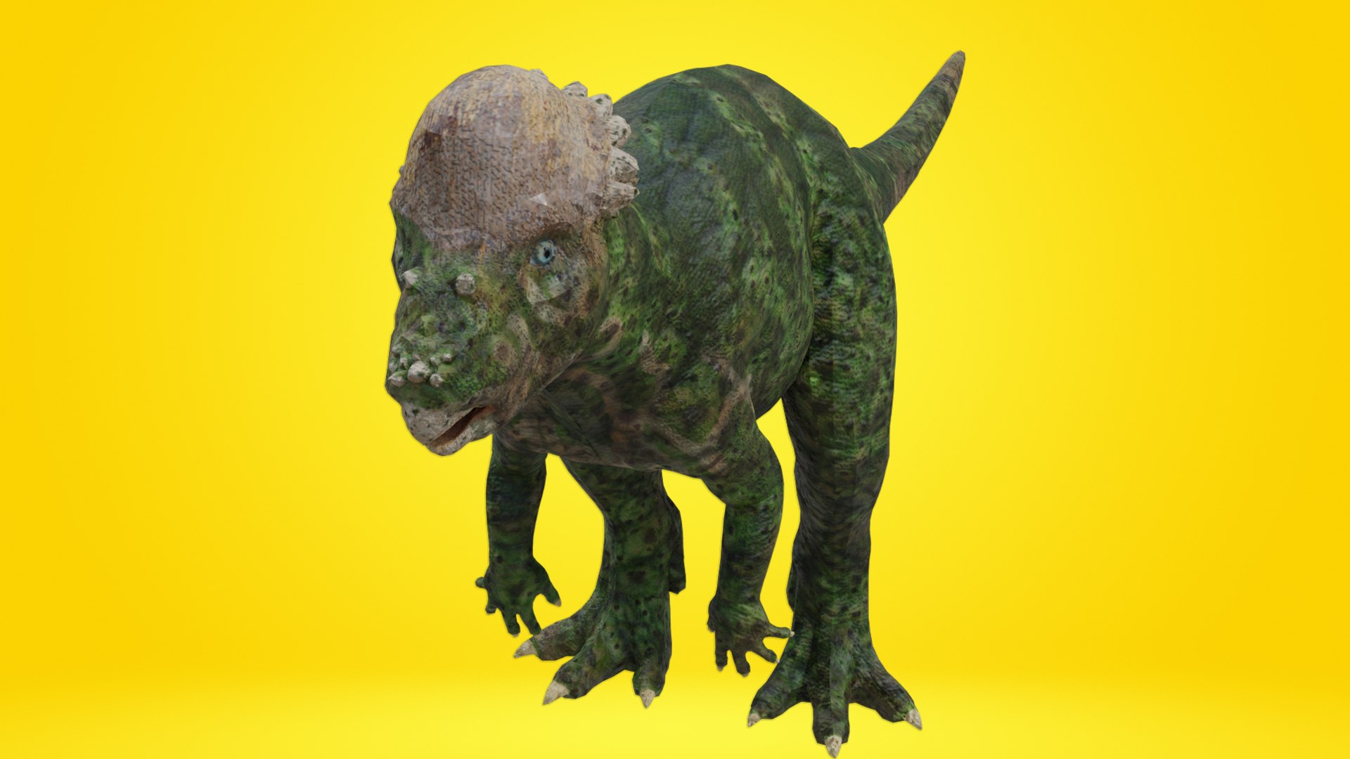 Pachycephalosaurus Model - TurboSquid 1986135