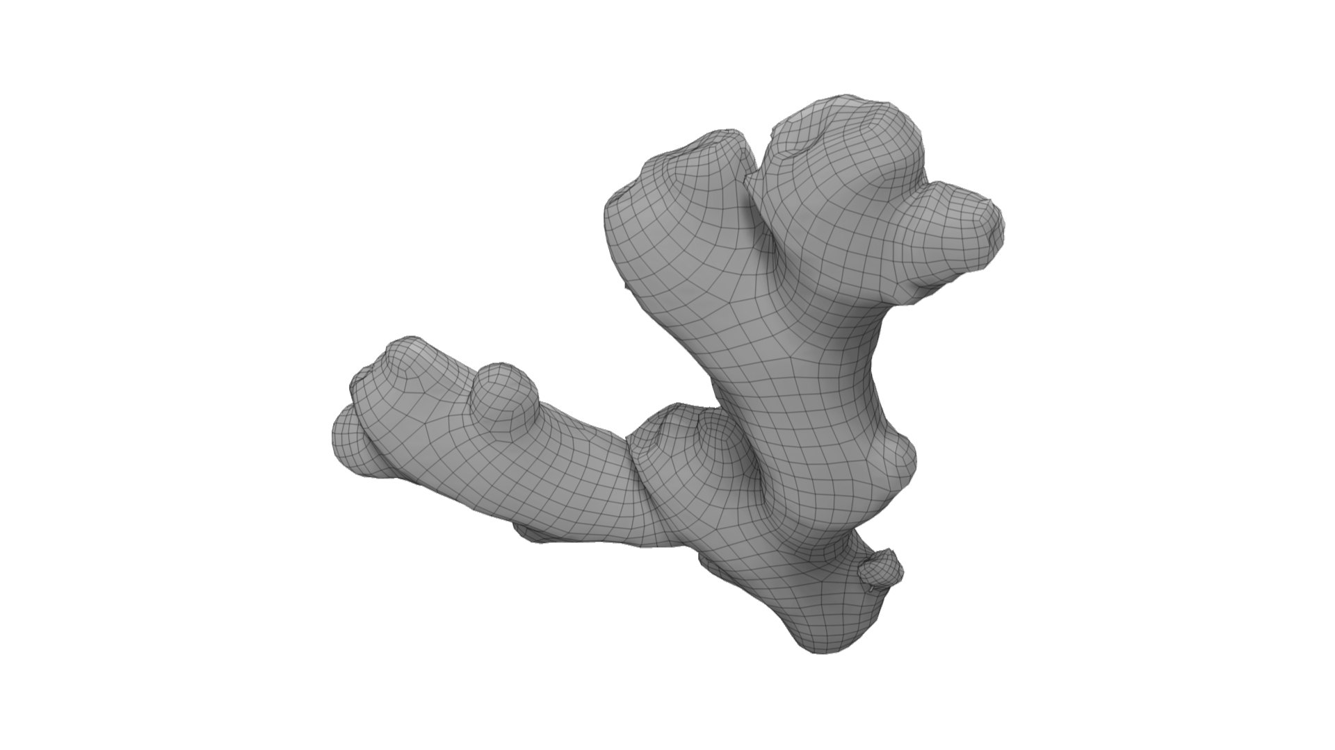 3D Fresh Ginger Root - Extreme Definition 3D Scanned - TurboSquid 1734096