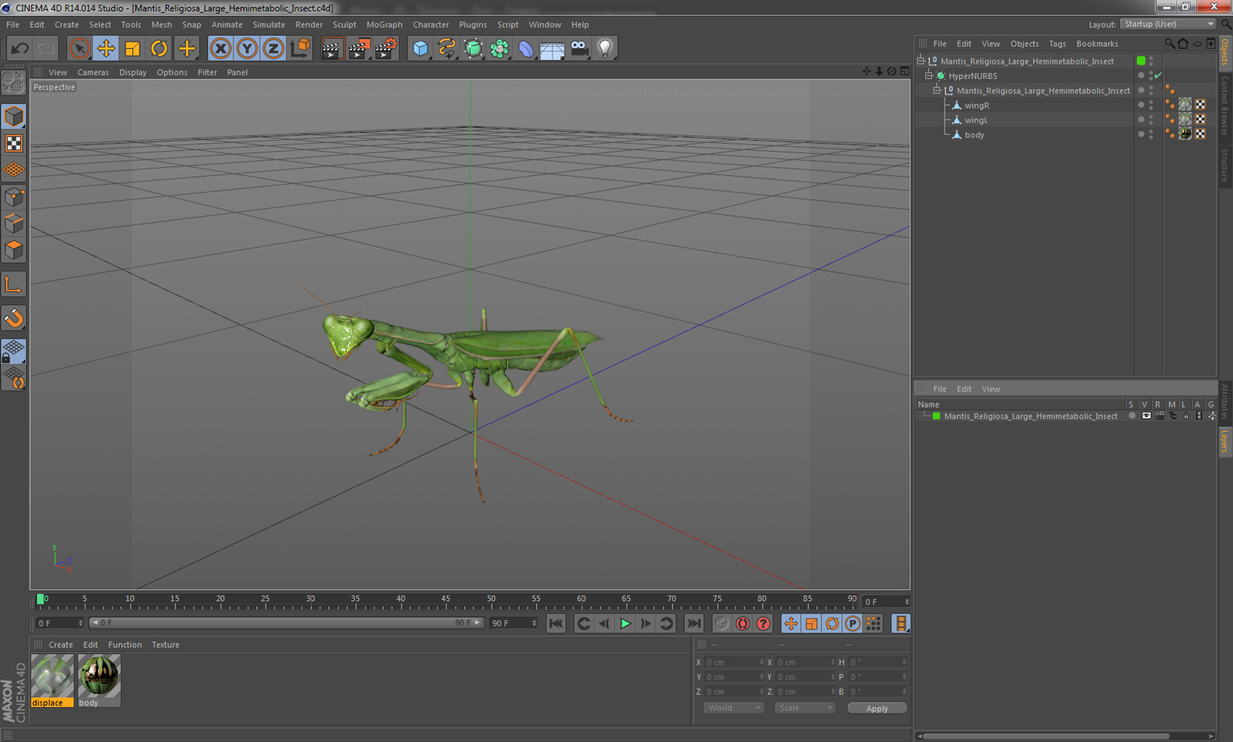 3D model mantis religiosa large hemimetabolic - TurboSquid 1258131