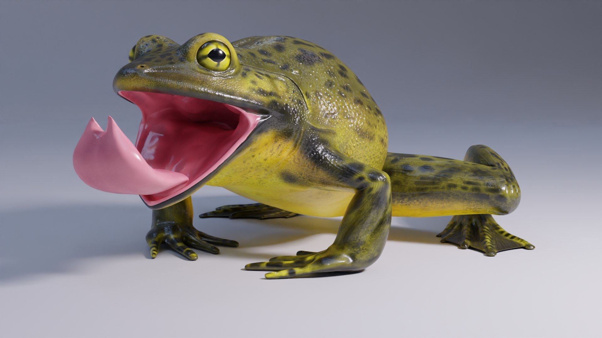 3D Goliath Bullfrog - Animated model - TurboSquid 1767338