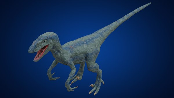 Velociraptor3D模型 - TurboSquid 1979199