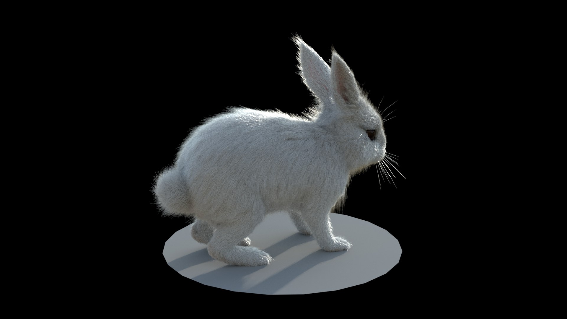 Rabbit 3D Model - TurboSquid 2156391