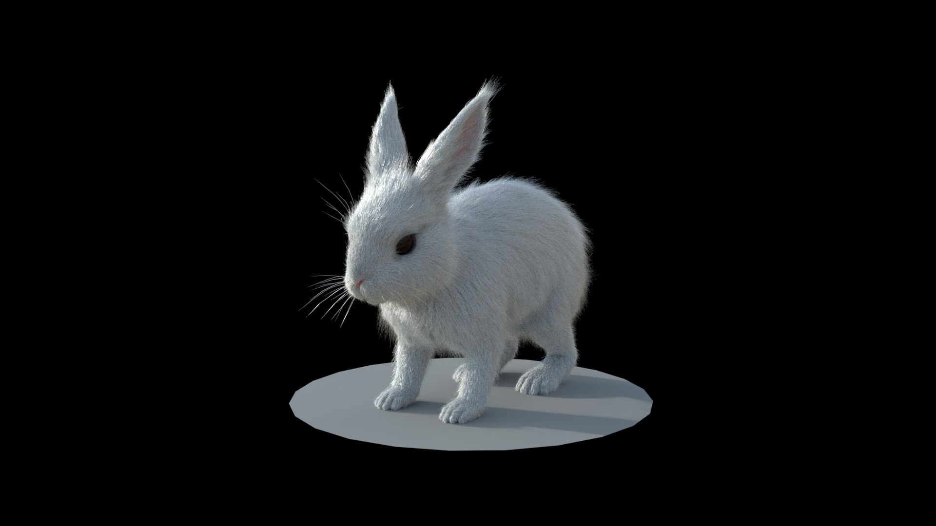 Rabbit 3D Model - TurboSquid 2156391