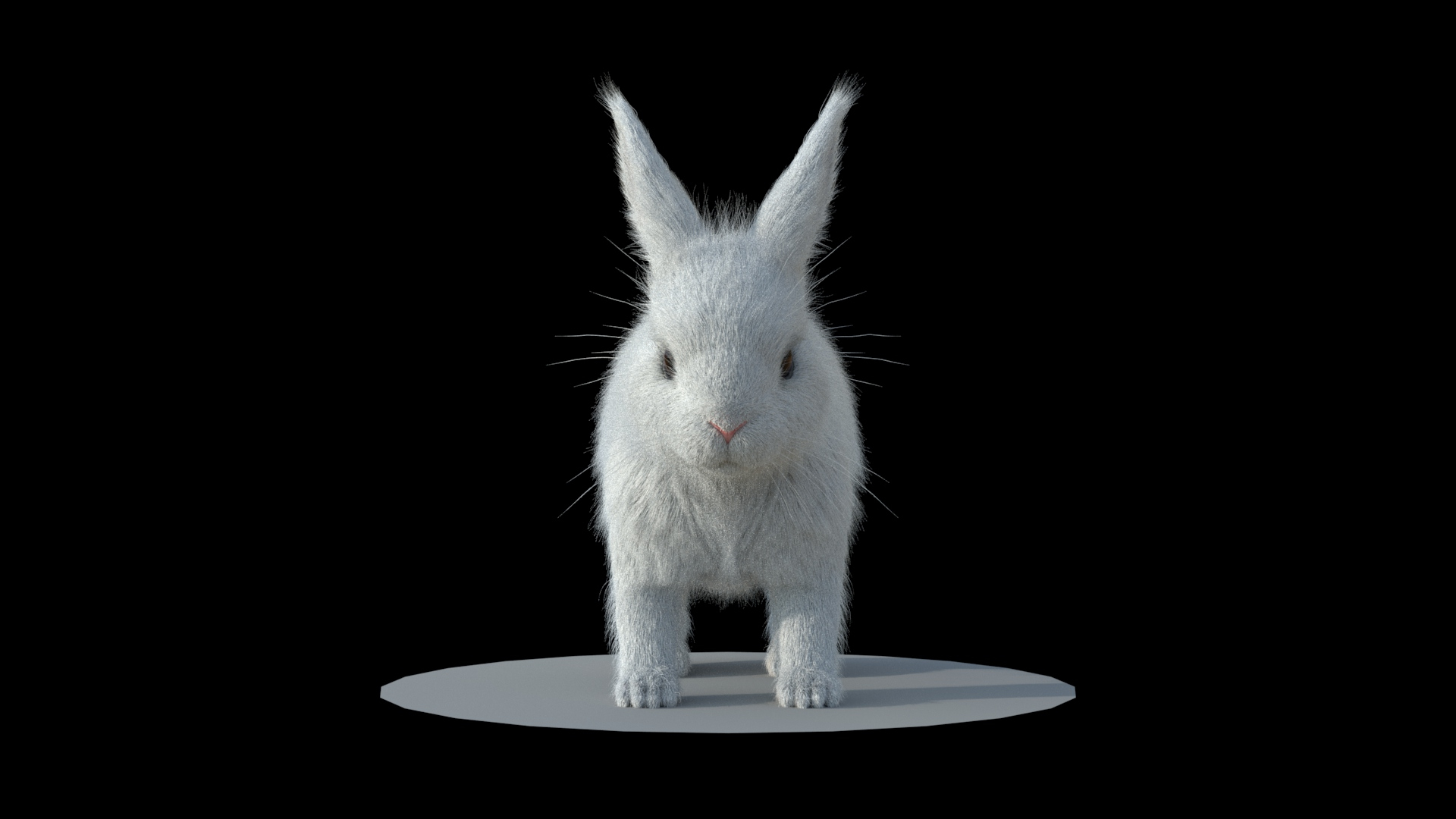 Rabbit 3D Model - TurboSquid 2156391