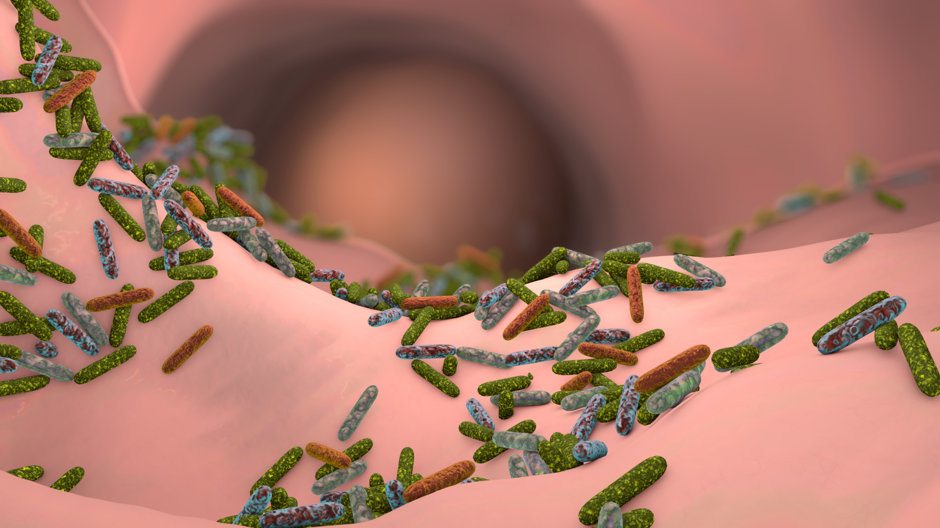 Gut bacteria microbiome ins 3D model - TurboSquid 1335508