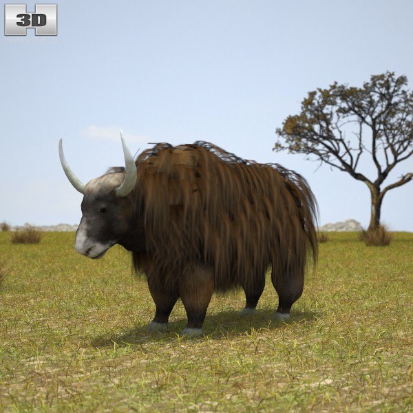nubian ibex 3d model