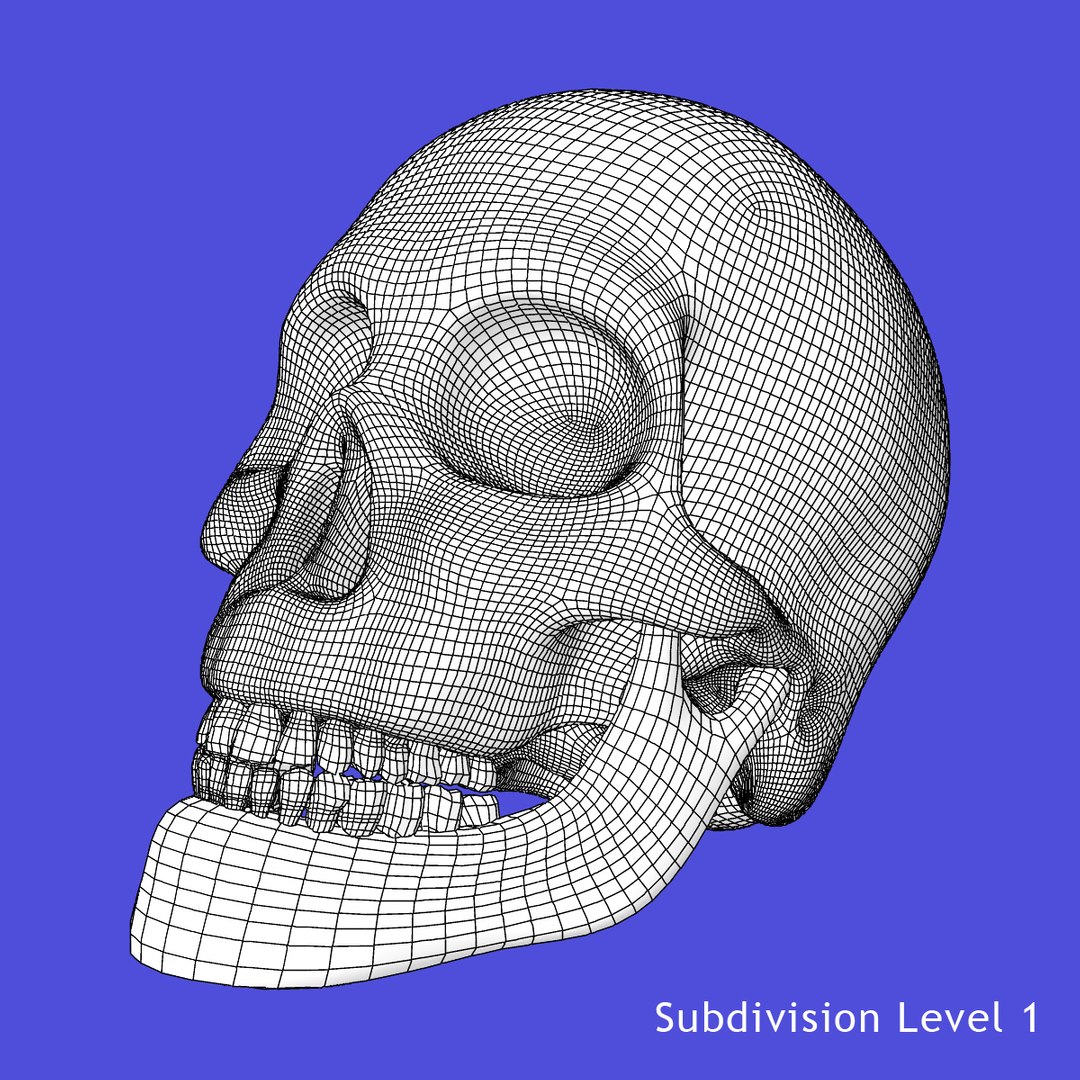maya skull rigged