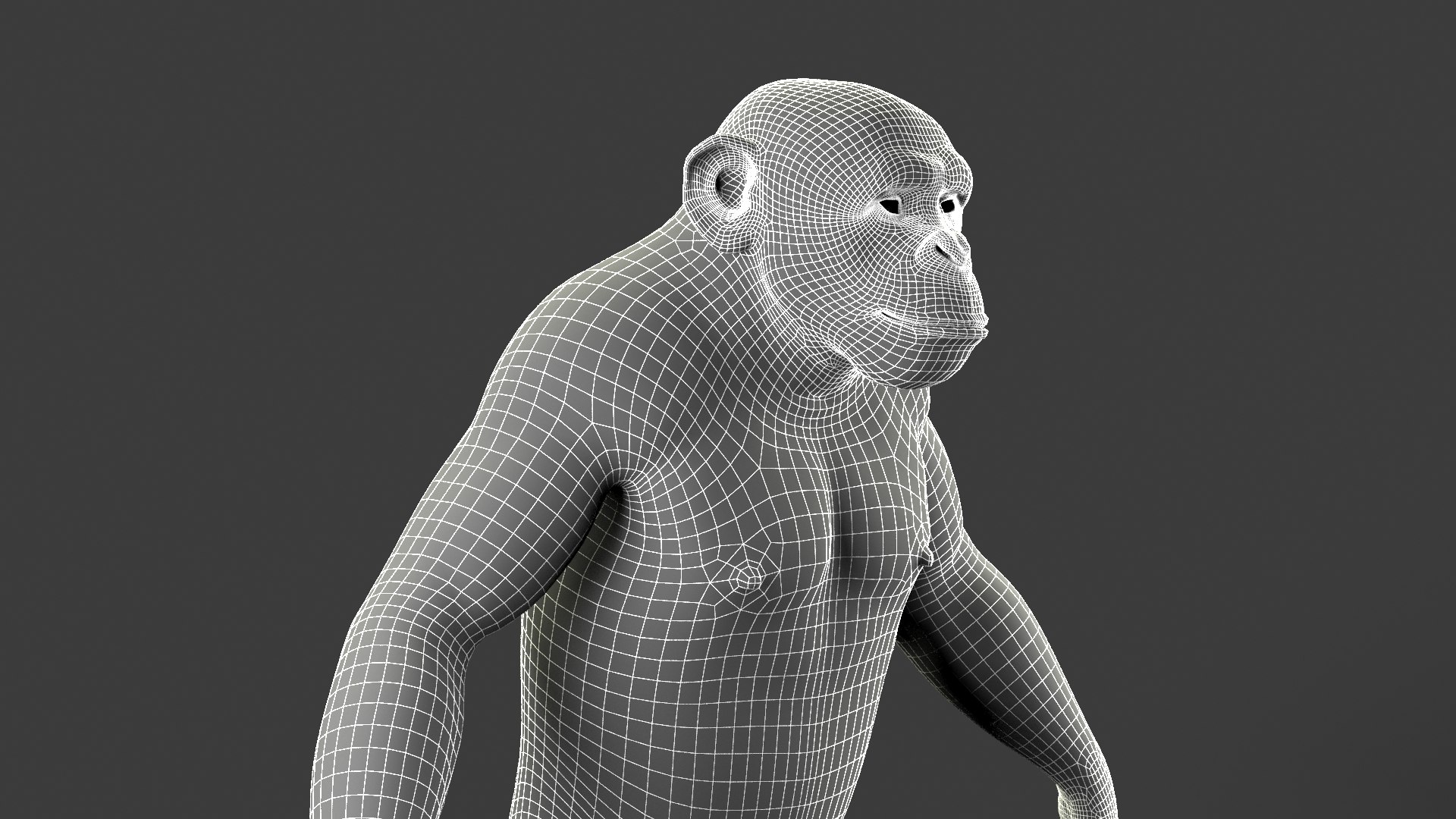 3d Model Realistic Chimp