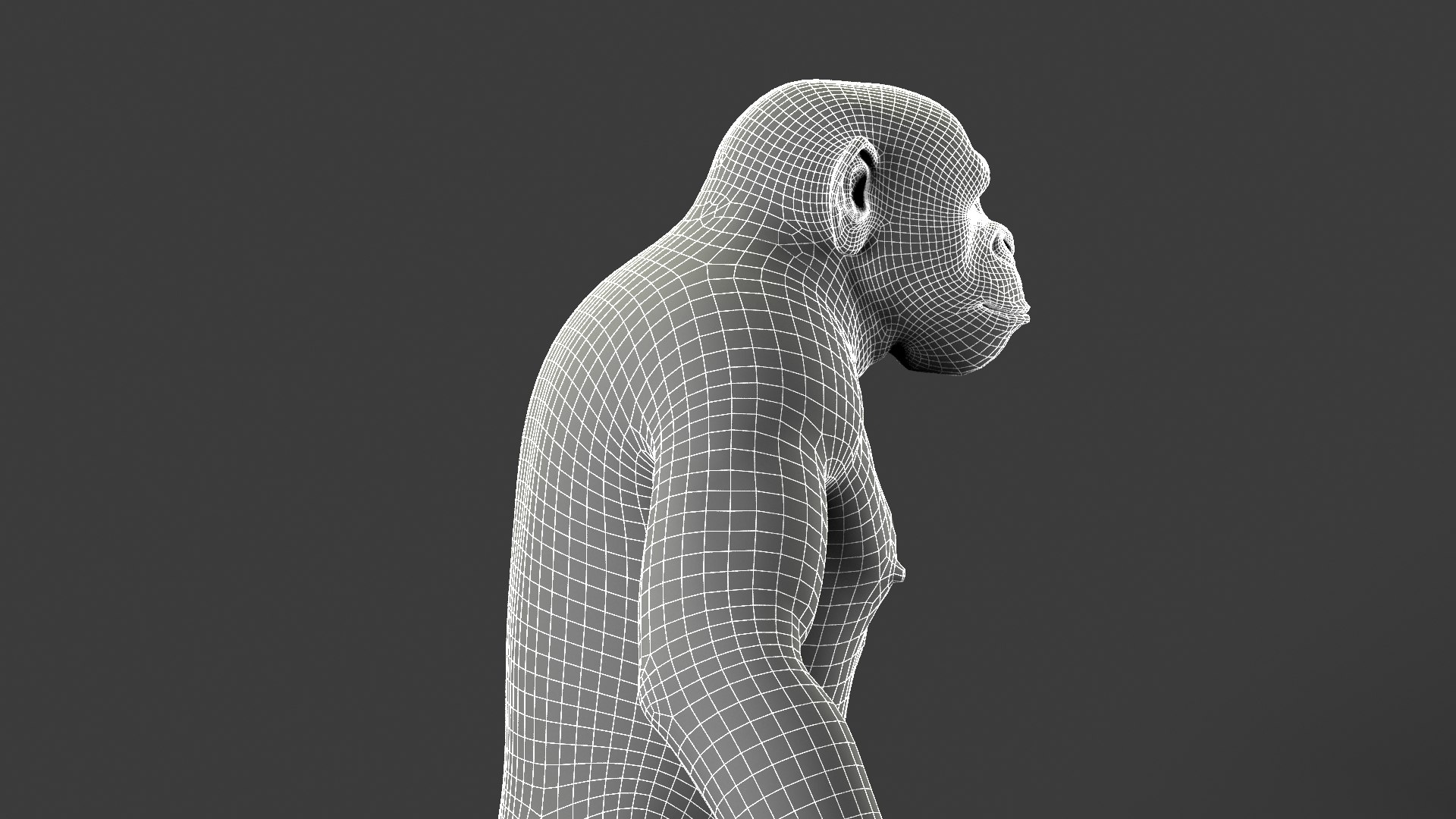 3d Model Realistic Chimp