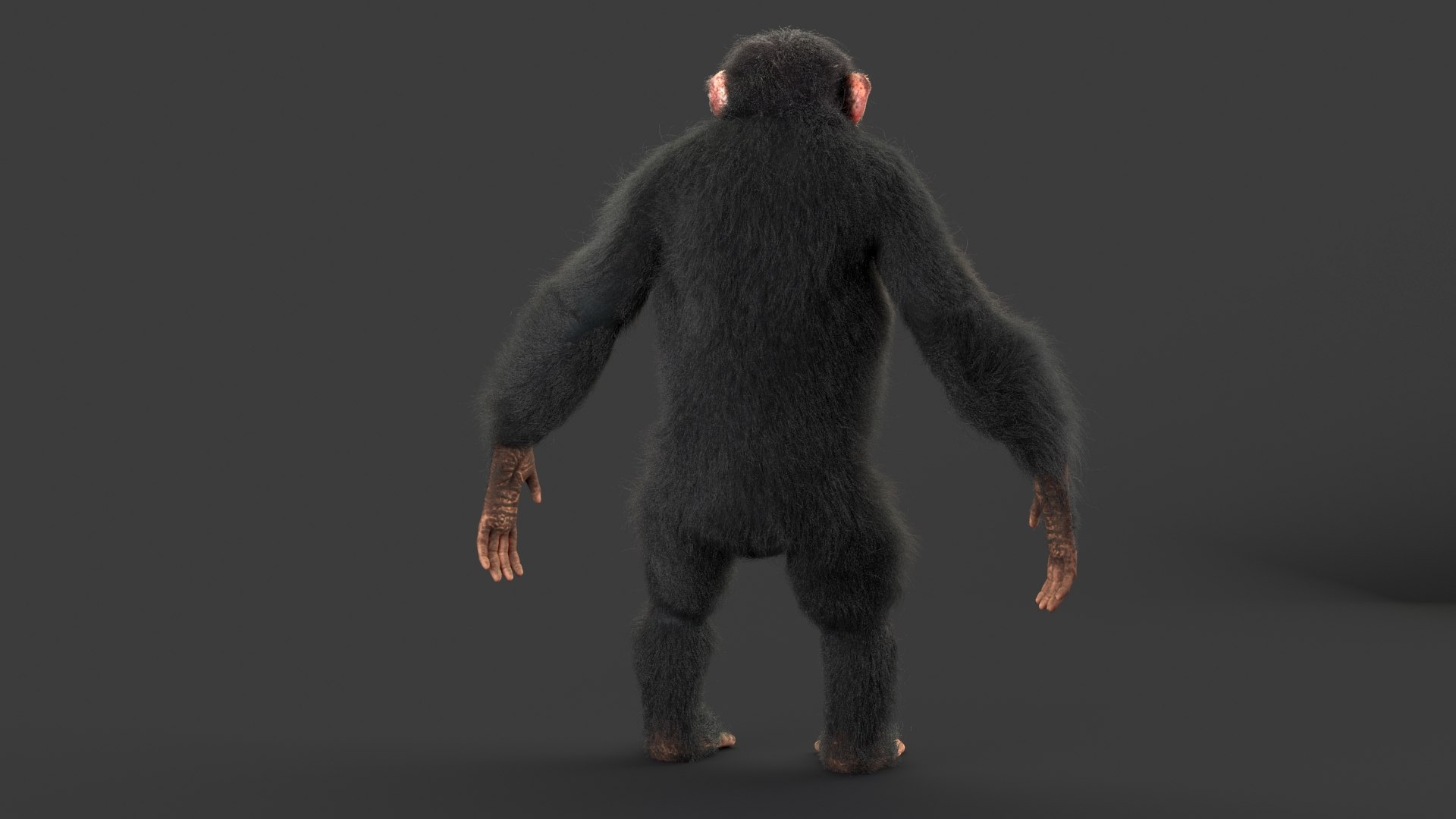 3d Model Realistic Chimp