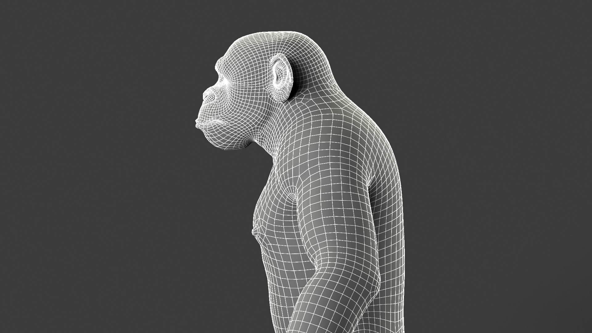 3d Model Realistic Chimp