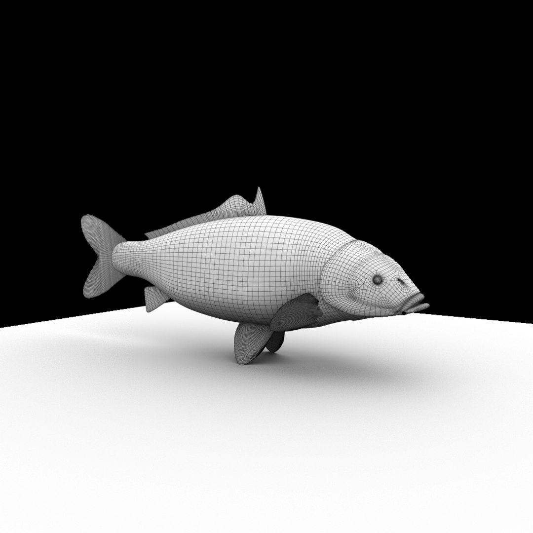 3D Rigged Animation Model - TurboSquid 1409153