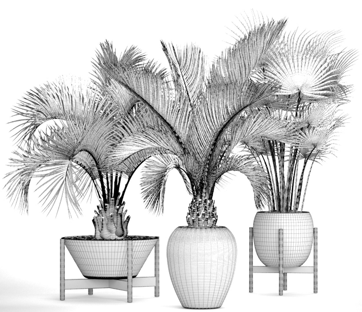 3D Palms Model - TurboSquid 1187894
