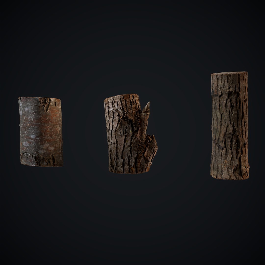 3D Scanned Log Pack - TurboSquid 1907834