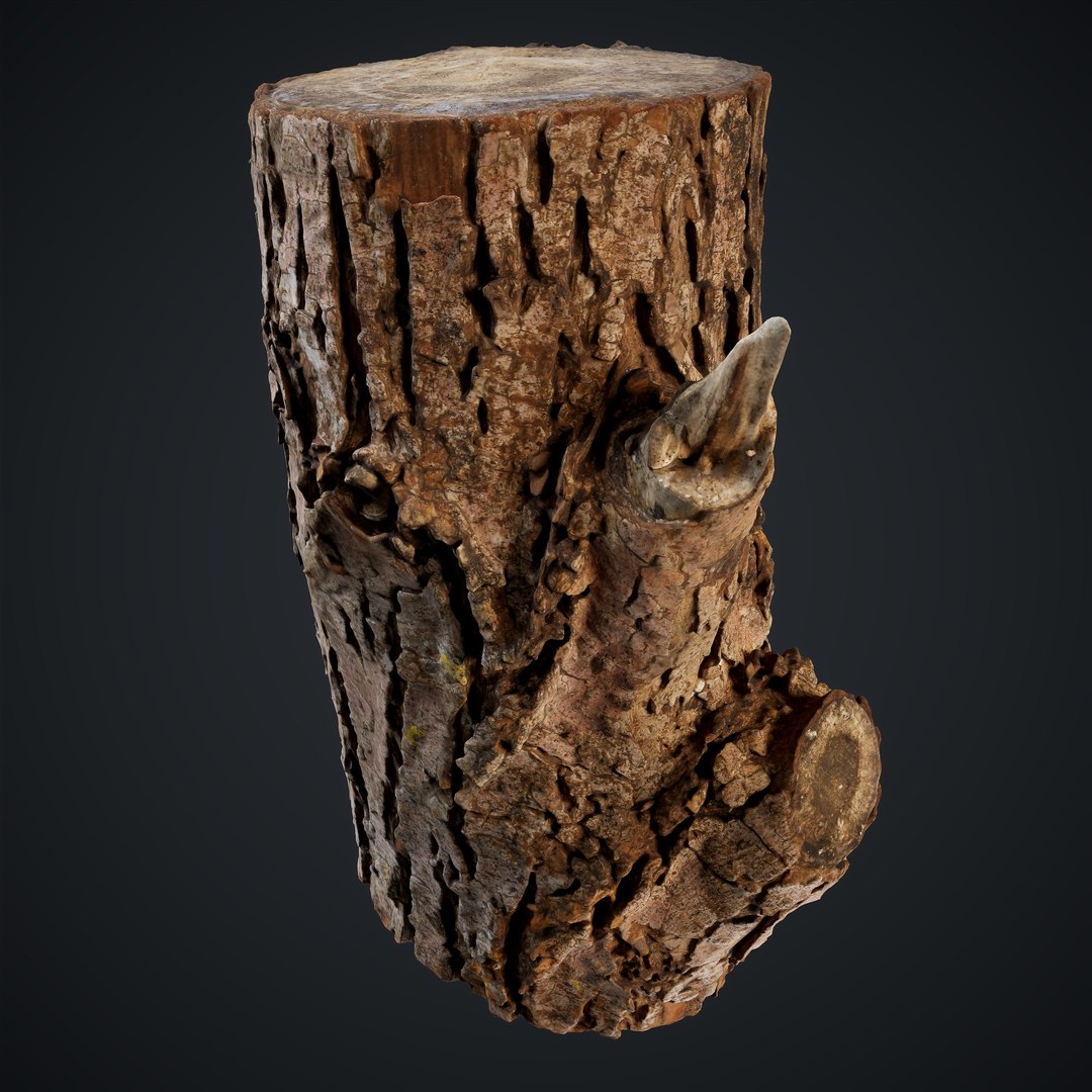 3D Scanned Log Pack - TurboSquid 1907834
