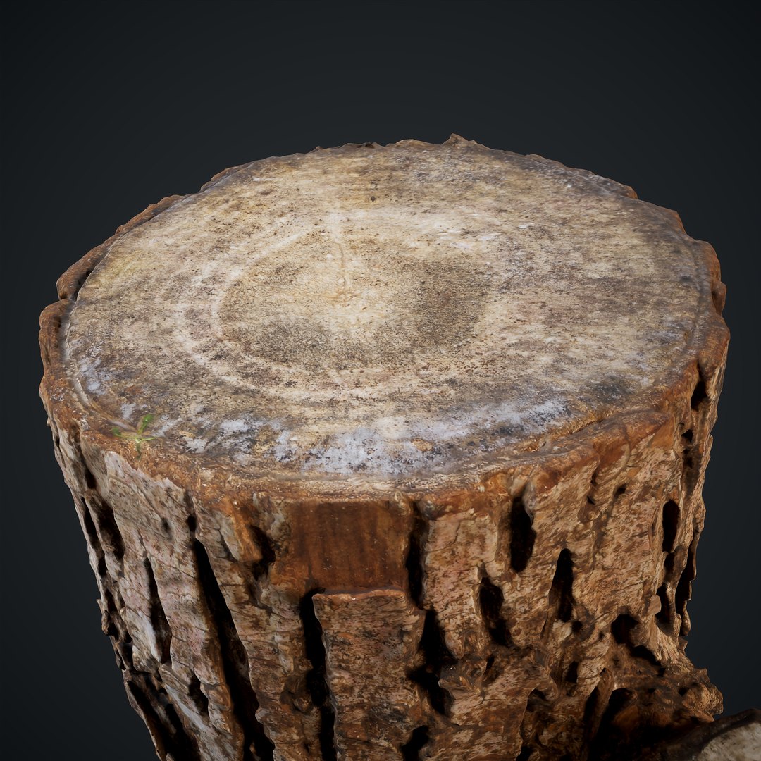 3D Scanned Log Pack - TurboSquid 1907834