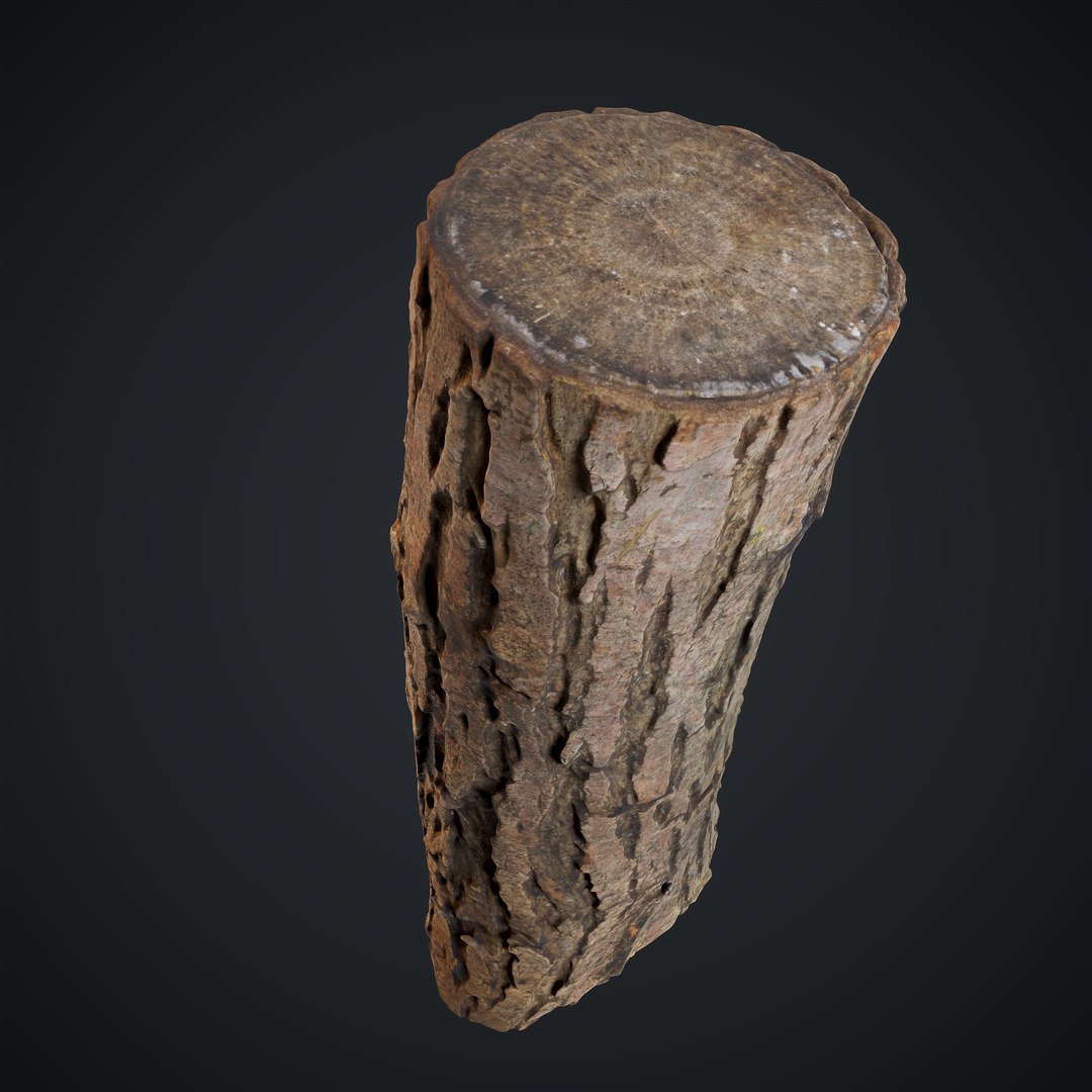 3D Scanned Log Pack - TurboSquid 1907834