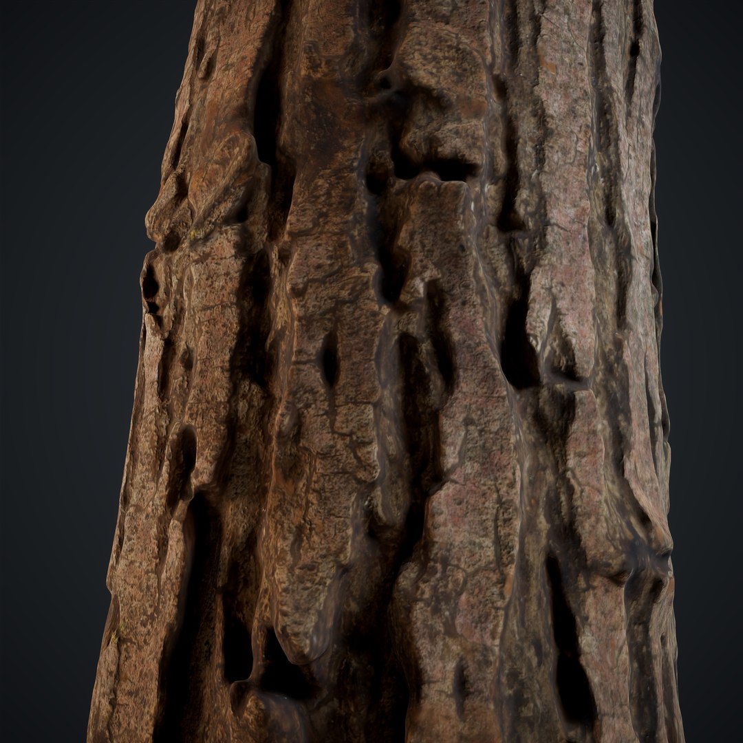 3D Scanned Log Pack - TurboSquid 1907834