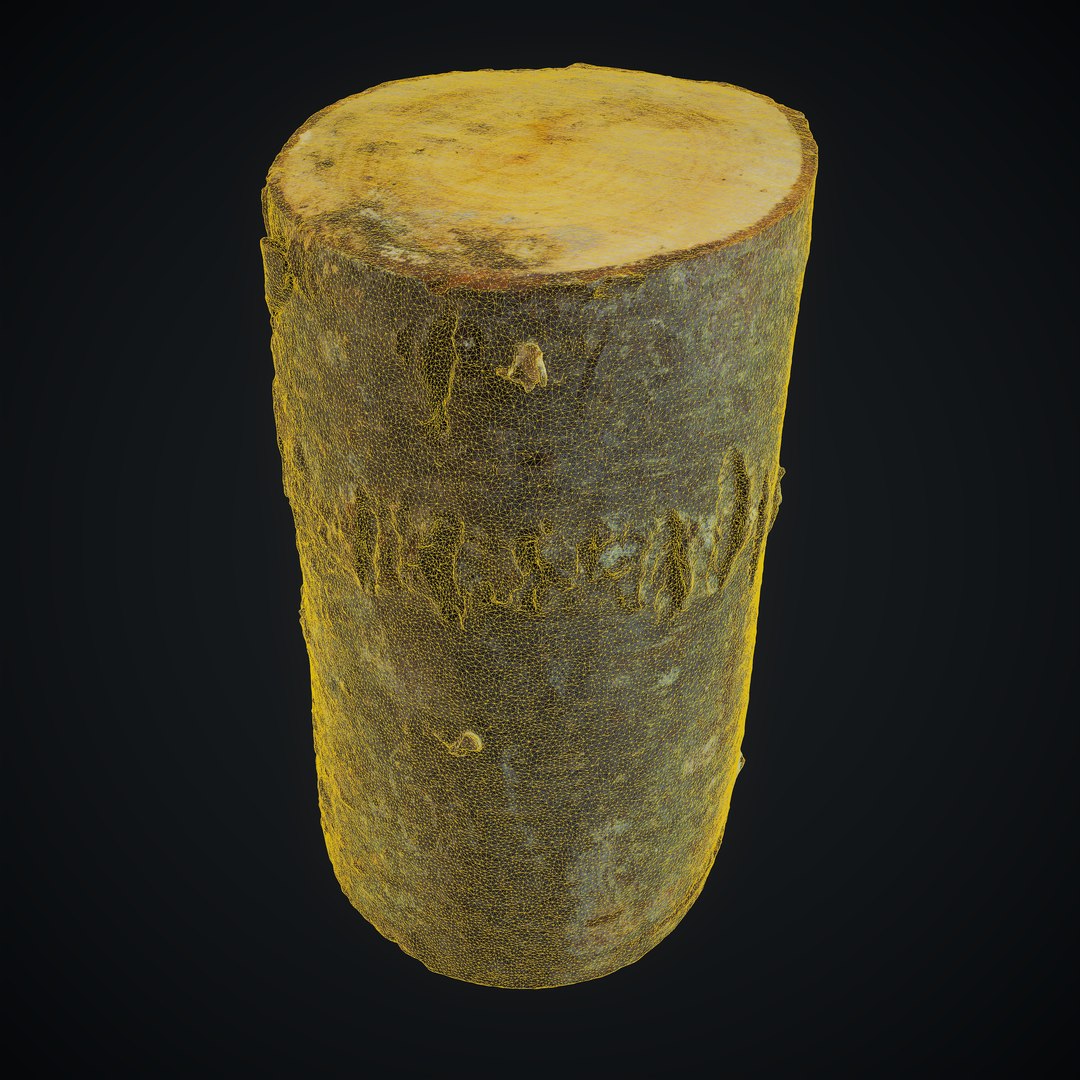 3D Scanned Log Pack - TurboSquid 1907834