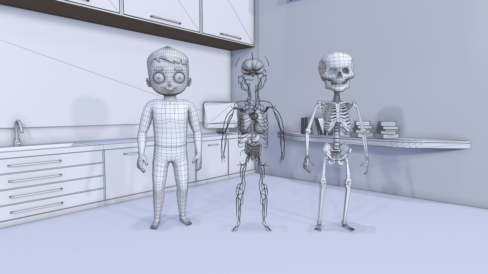 3D Educational Body Parts - Low Poly 3D Model - TurboSquid 2261792