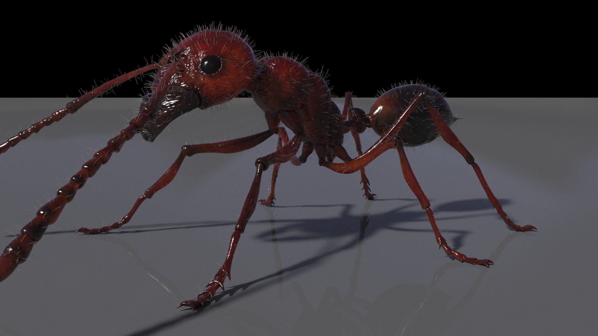Ant Rig 3D Model - TurboSquid 1368279