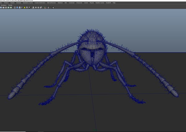 Ant Rig 3d Model Turbosquid 1368279