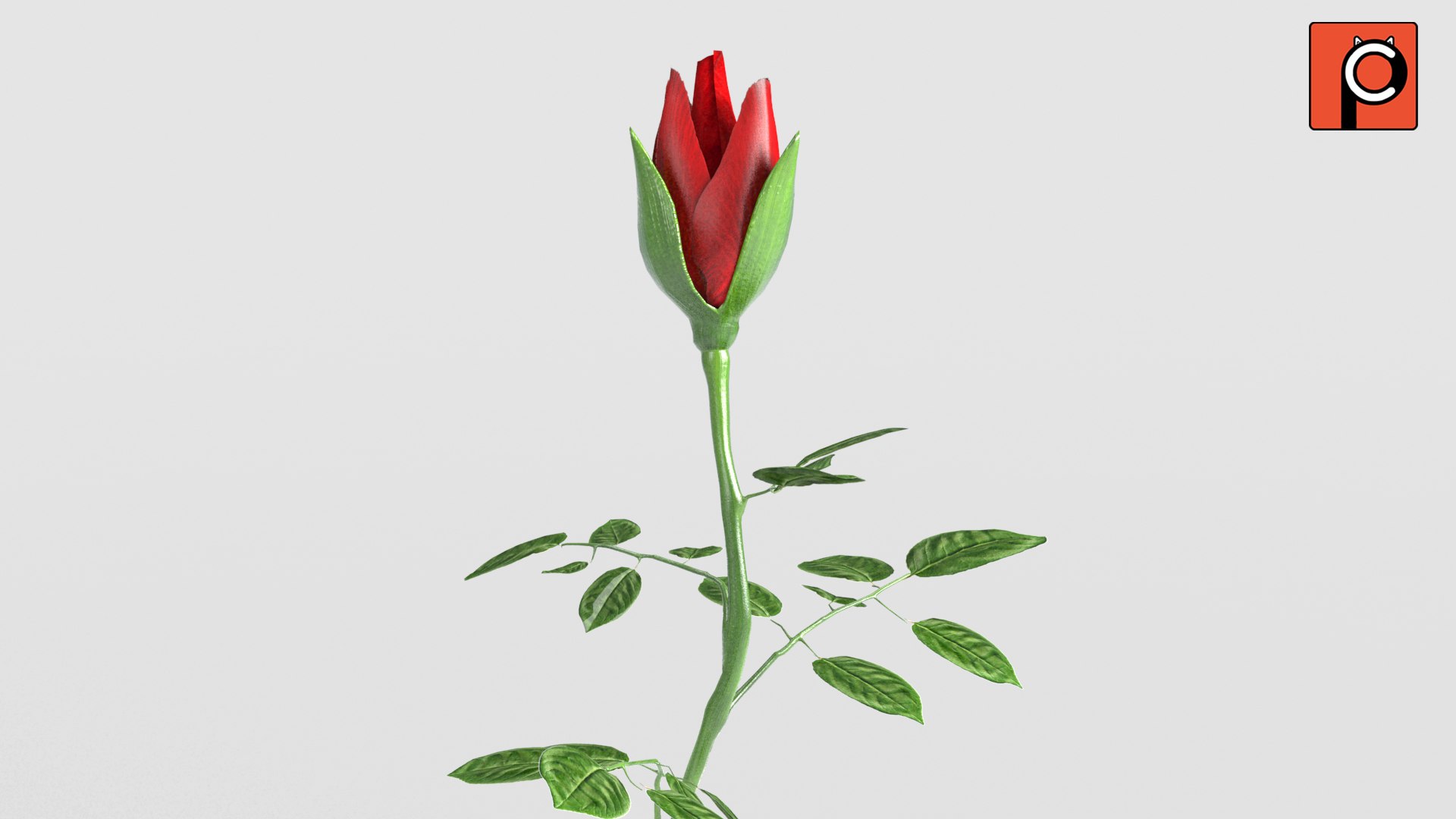 3D Rigged Rose Model - TurboSquid 1691584