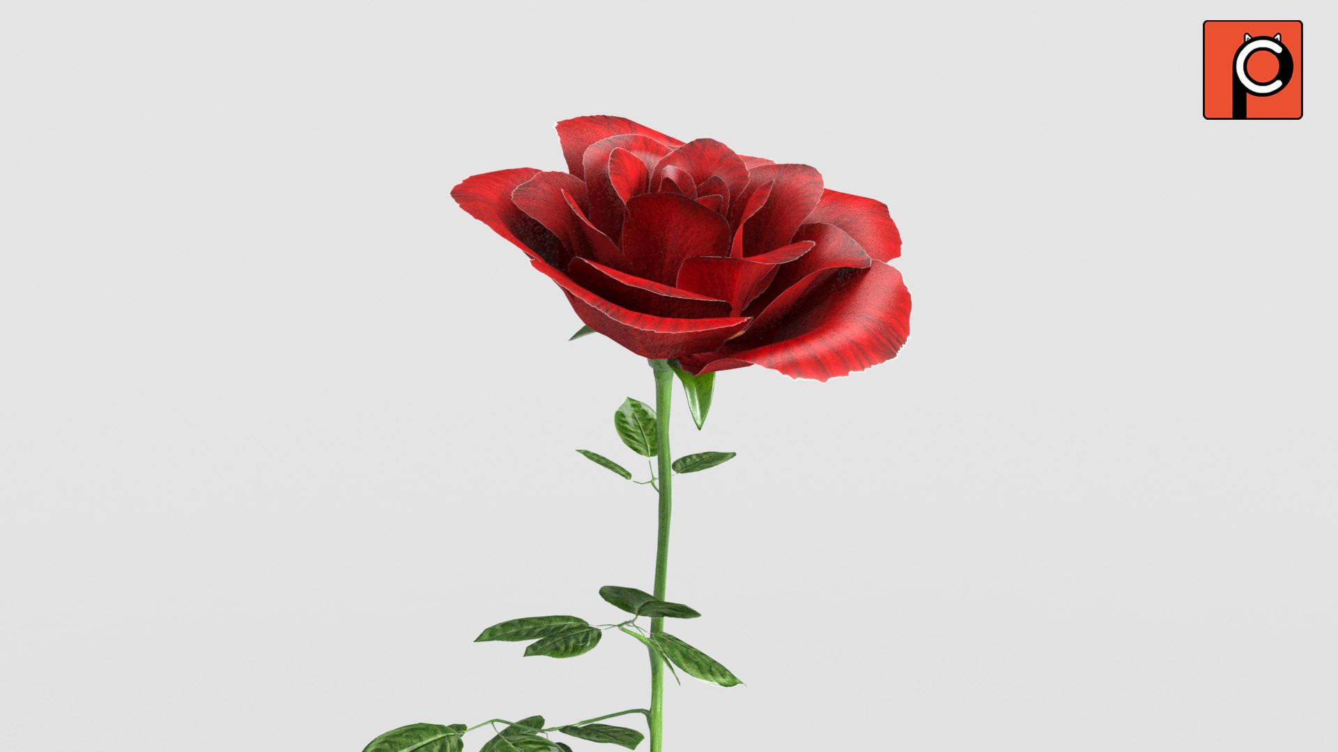 3D Rigged Rose Model - TurboSquid 1691584