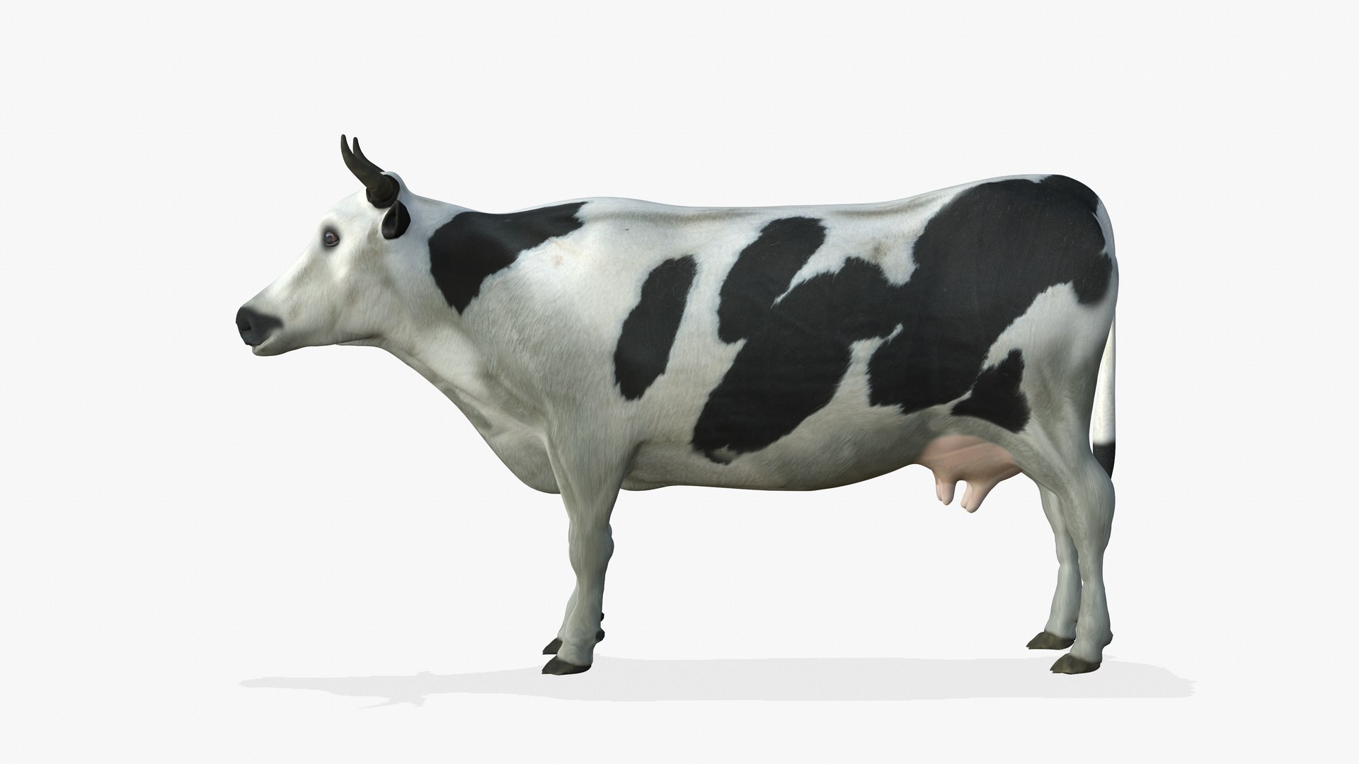 3D Realistic Crocodile With Cow Holstein - TurboSquid 1926837