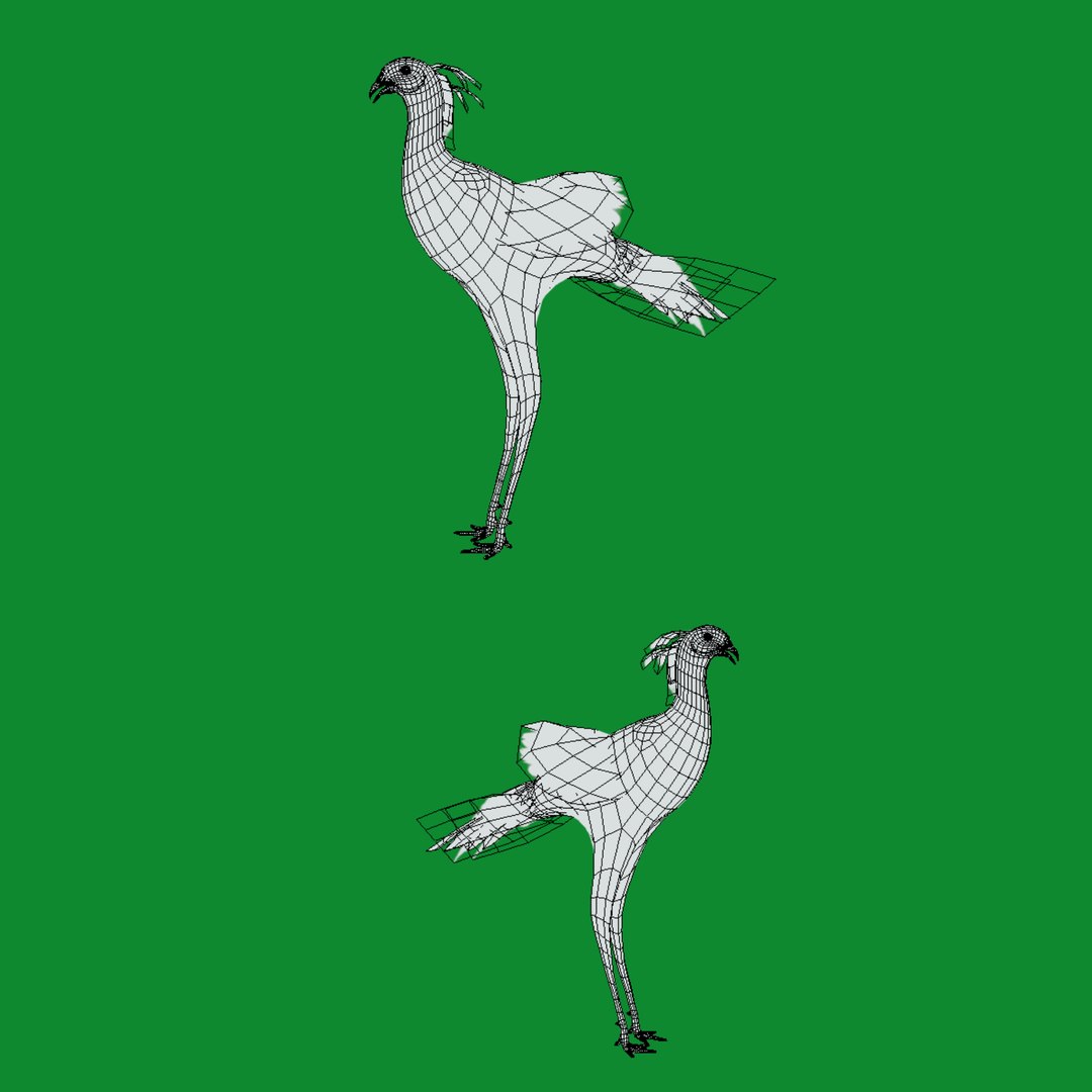 Secretary Bird 3D Model - TurboSquid 2304971