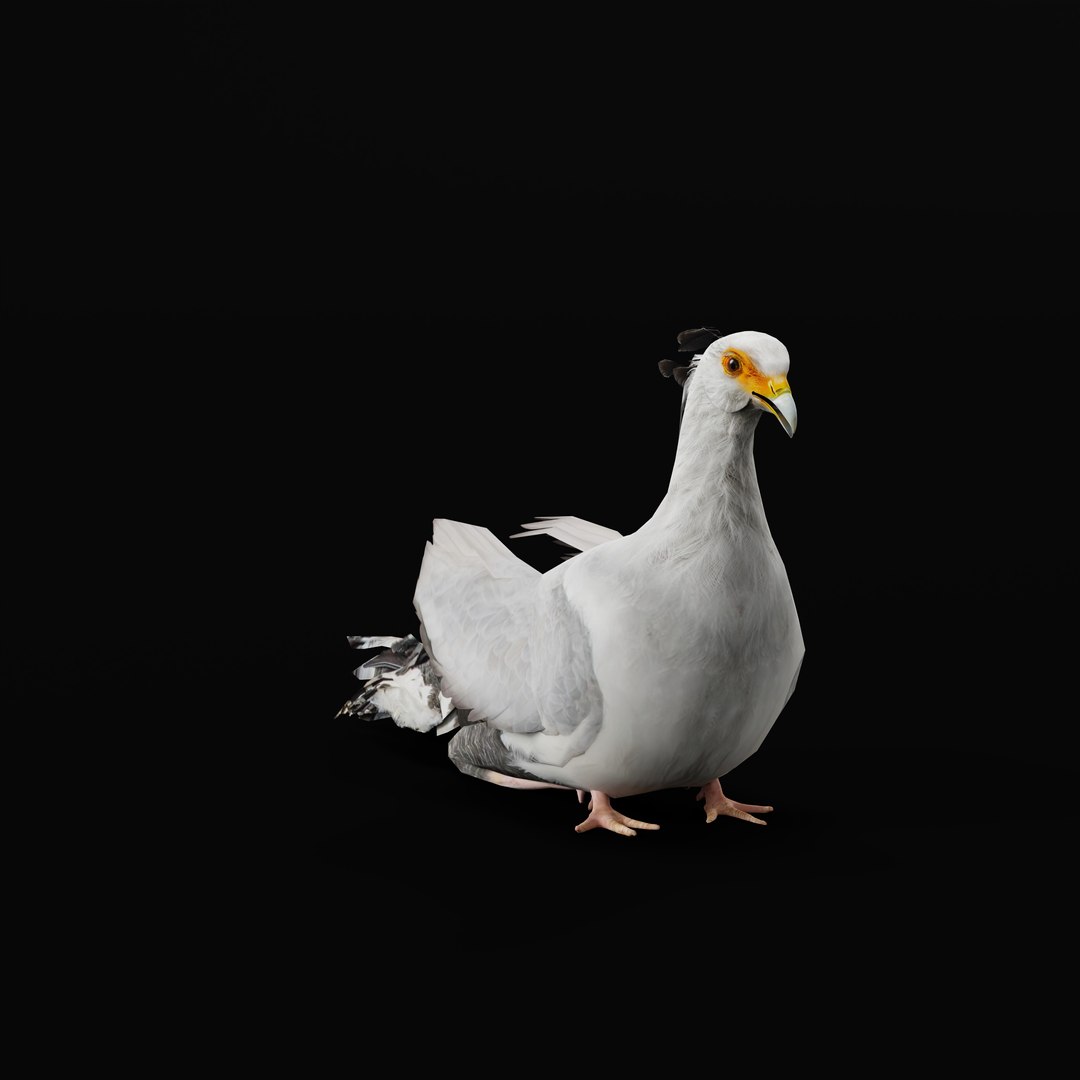 Secretary Bird 3D Model - TurboSquid 2304971