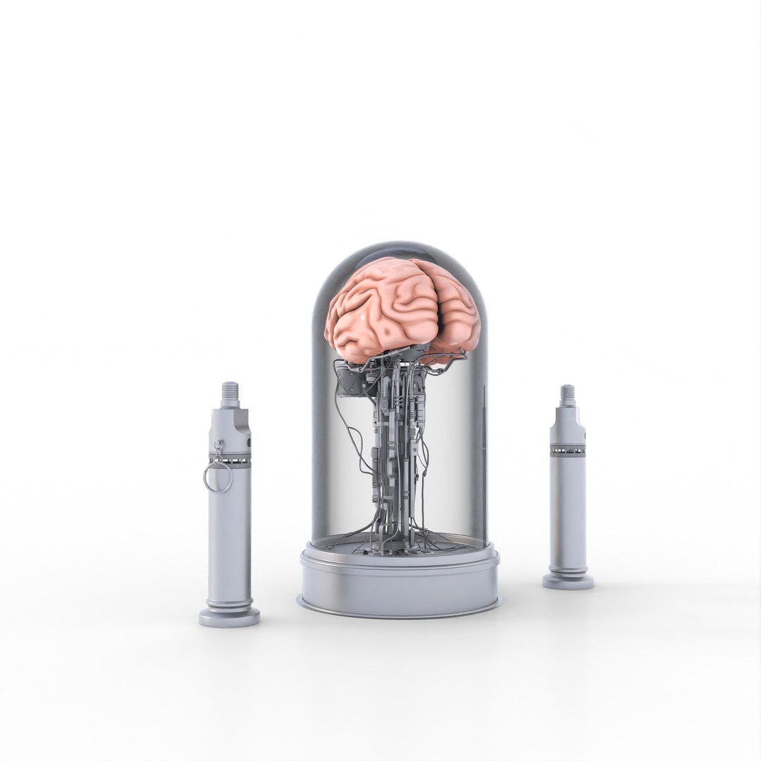 3D brain is in a jar - TurboSquid 2182746