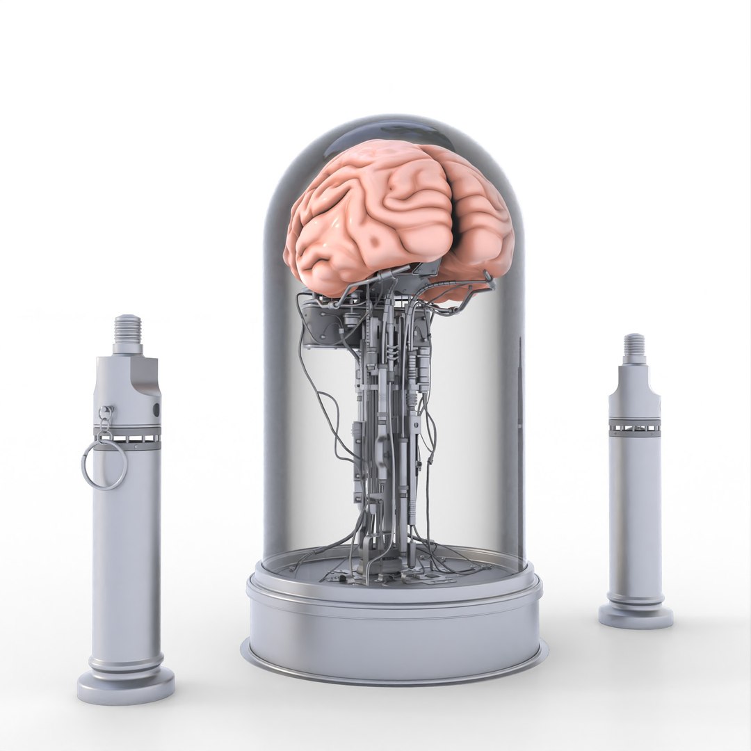 3D brain is in a jar - TurboSquid 2182746