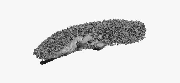 3D Pig Kidney Circulatory System 01 RAW Scan - TurboSquid 1957038