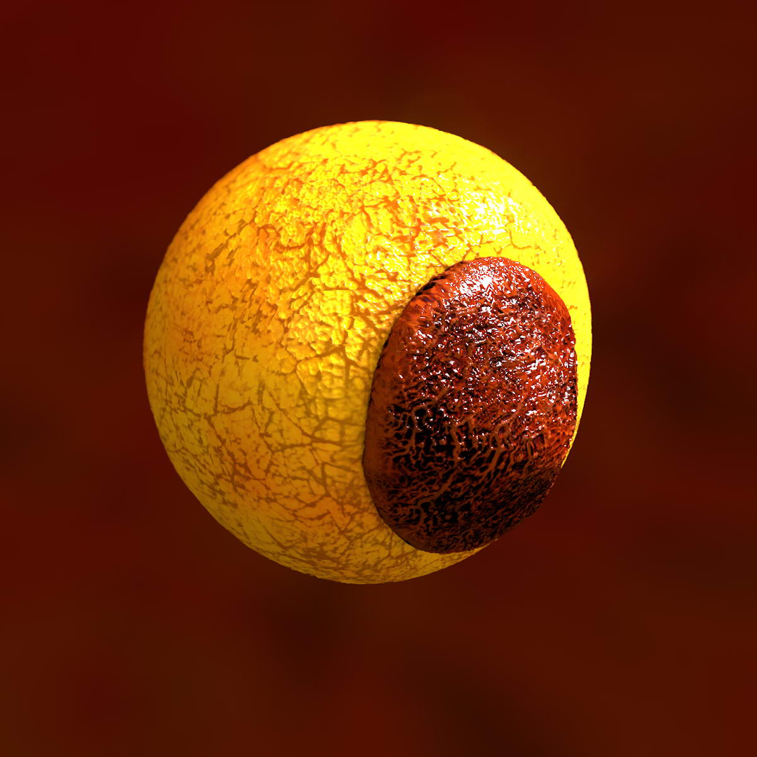 3d Fat Cell Model